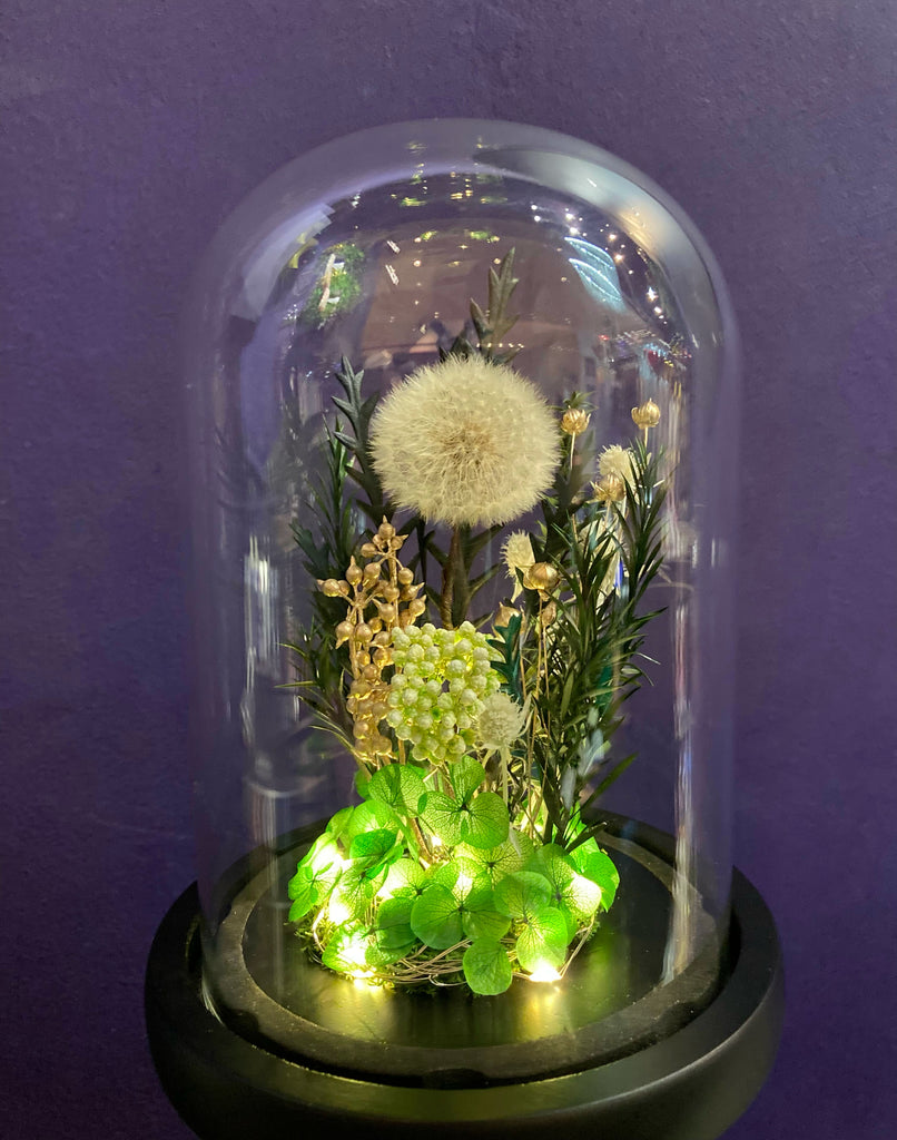 Glass Dome with LED Light: Preserved Dandelion (M) – Starships Balloons
