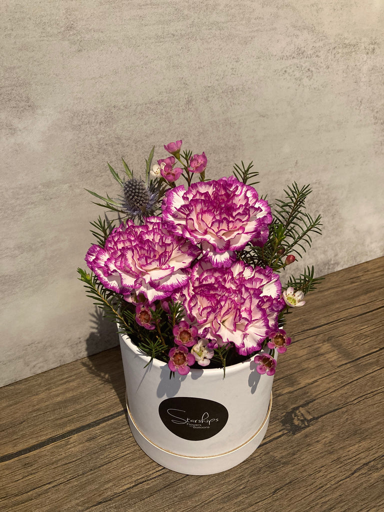 (RDBB-FF-S) Round Bloom Box - Fresh Flower – Starships Flowers & Balloons