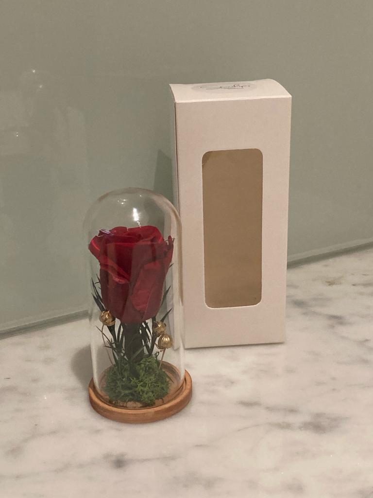 Mini Glass Dome (4cm x 9cm H) with Preserved Mini Rose – Starships Balloons