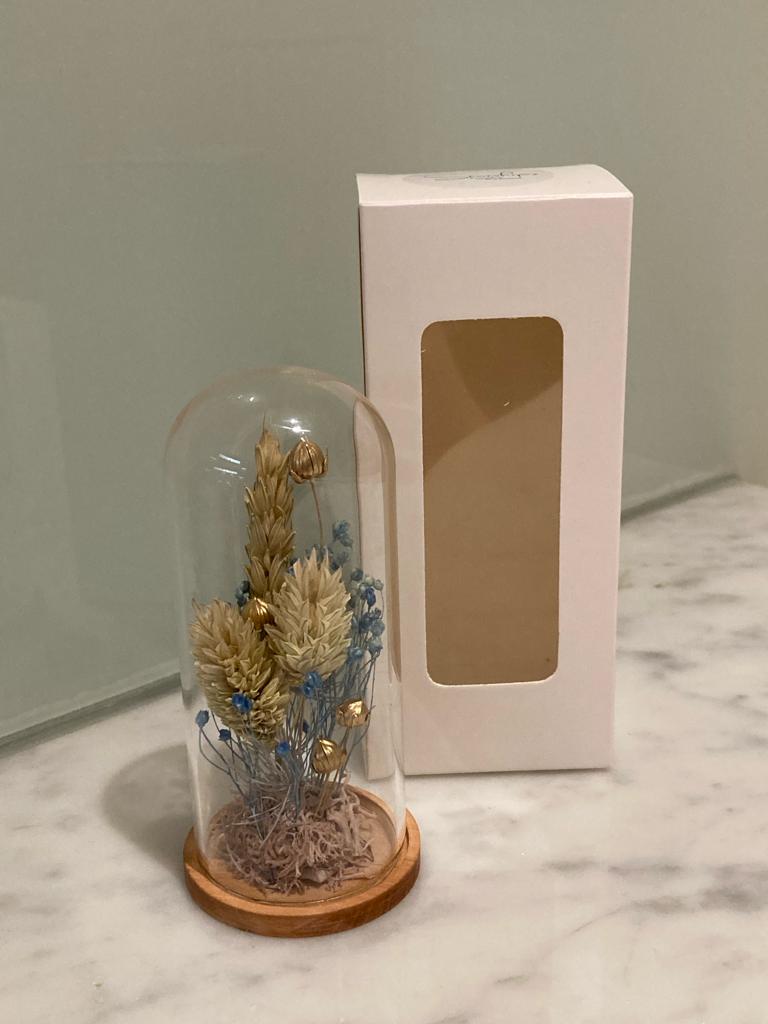Mini Glass Dome (4cm x 9cm H) with Dried Phalaris – Starships Balloons