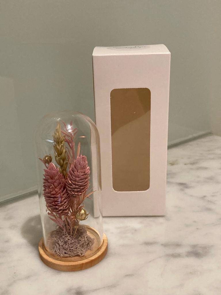 Mini Glass Dome (4cm x 9cm H) with Dried Phalaris – Starships Balloons