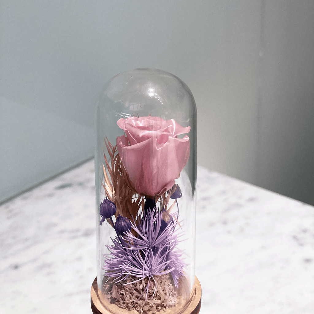 Mini Glass Dome (4cm x 9cm H) with Preserved Mini Rose – Starships ...