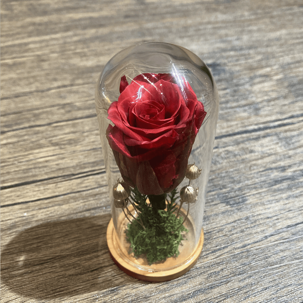 Mini Glass Dome (4cm x 9cm H) with Preserved Mini Rose – Starships Balloons