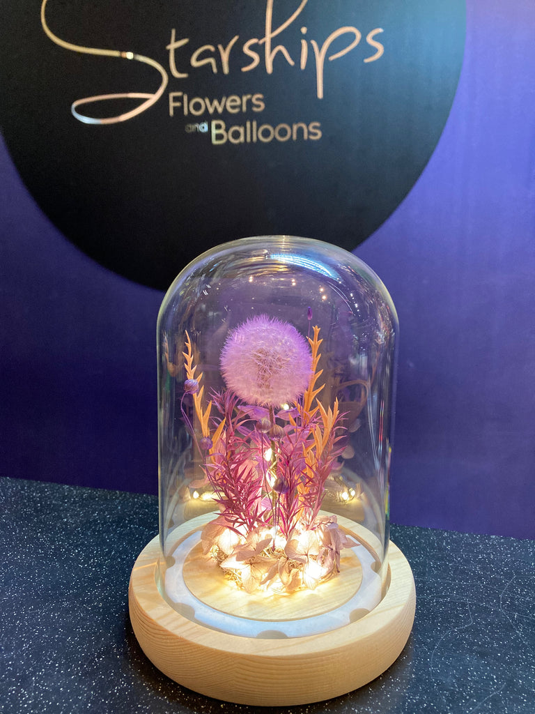 Small Glass Dome with LED Light: Preserved Dandelion – Starships Balloons